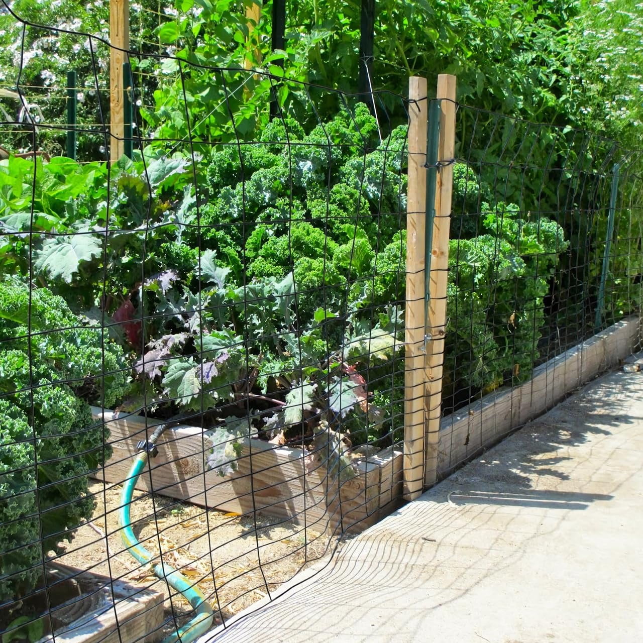 Fencer Wire Black Vinyl Coated 16 Gauge Rabbit Guard Fence, Poultry ...