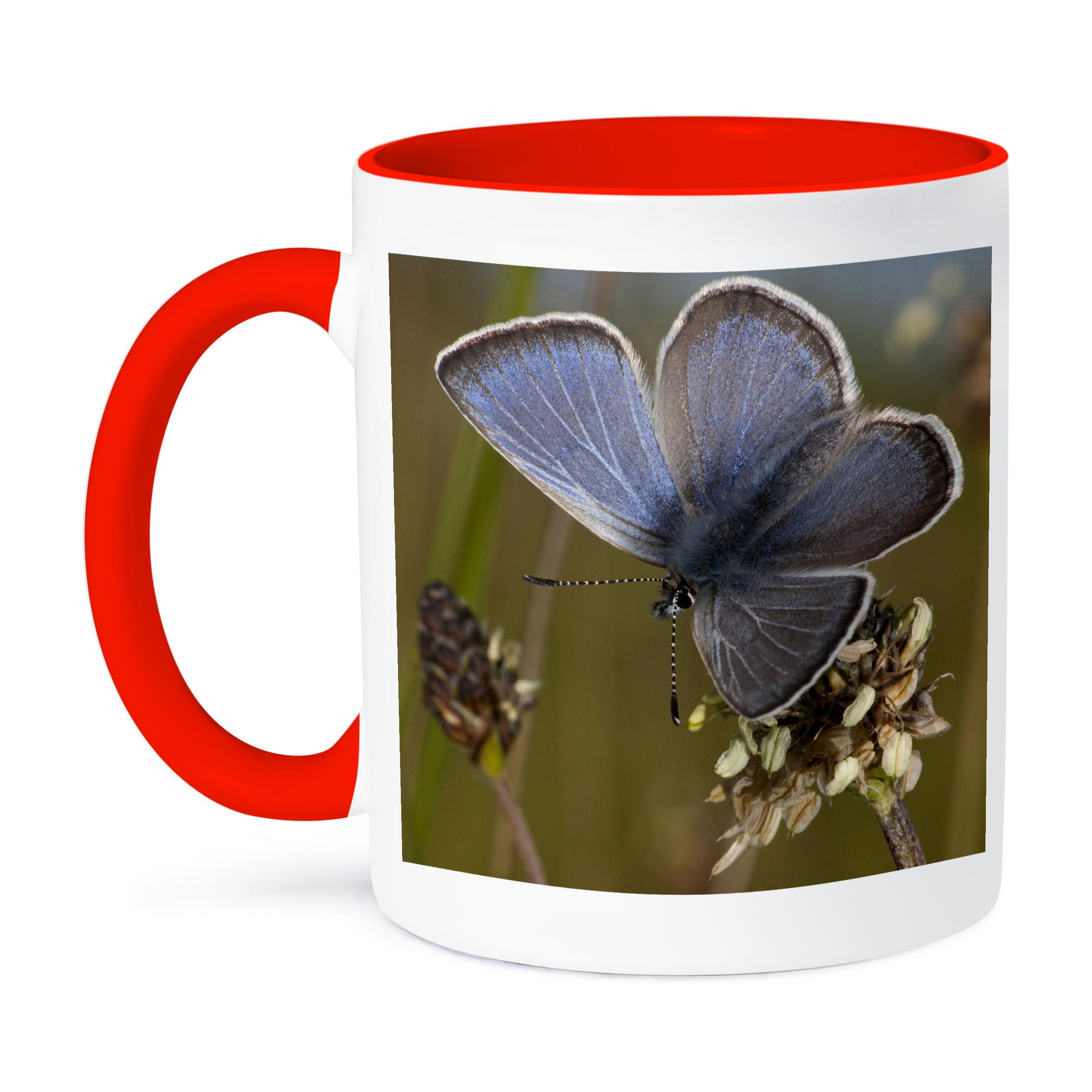 3dRose, Fenders Blue Butterfly, Baskett Slough NWR, Oregon - US38 RBR0077 - Rick A. Brown, 11oz ...