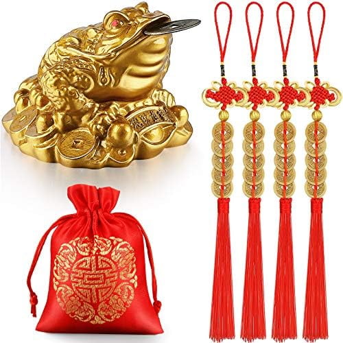 Feng Shui Money Frog with Chinese Coins, Money Toad Decorations, Lucky ...