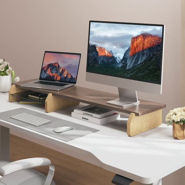 Fenge Dual Monitor Stand Riser for Desk, 42.5 Inch Desktop Shelf Stand ...