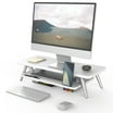 Fenge 42.5 Inches Acrylic Monitor Stand Riser with Metal Storage ...