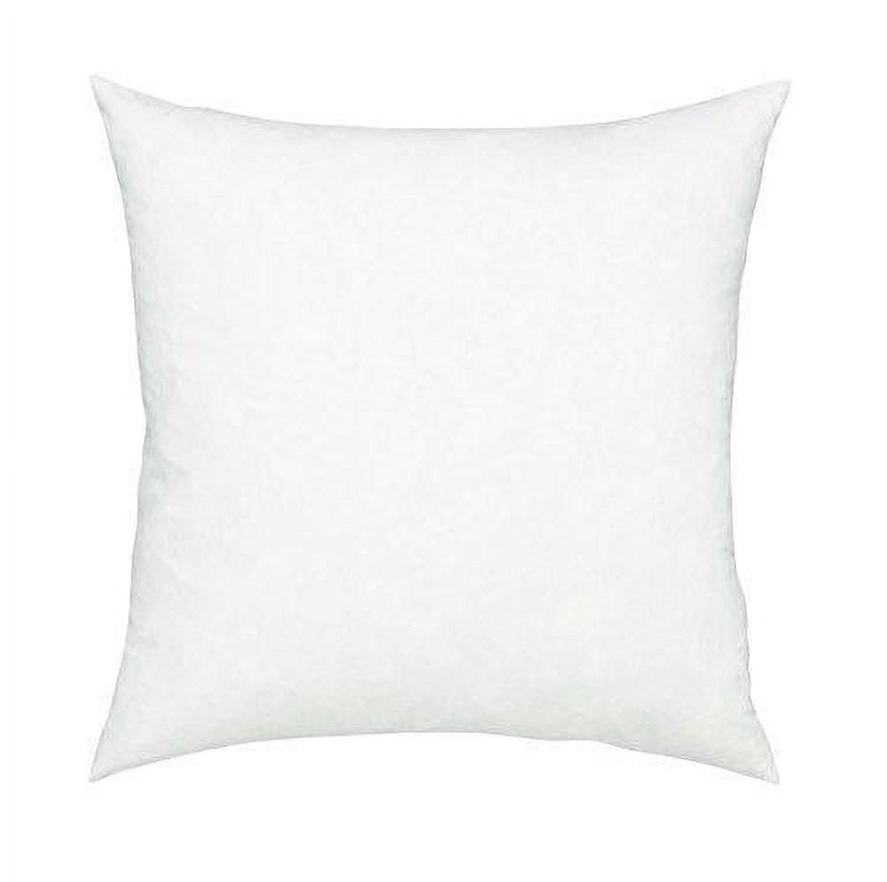 Fennco Styles Polyester Fiber White Pillow Insert - Made in USA (22"X22 ...