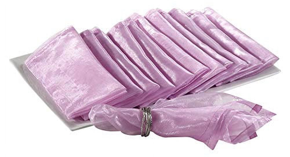 Fennco Styles Sorbet Collection Elegant Sheerness Organza 20 x 20 Inch ...