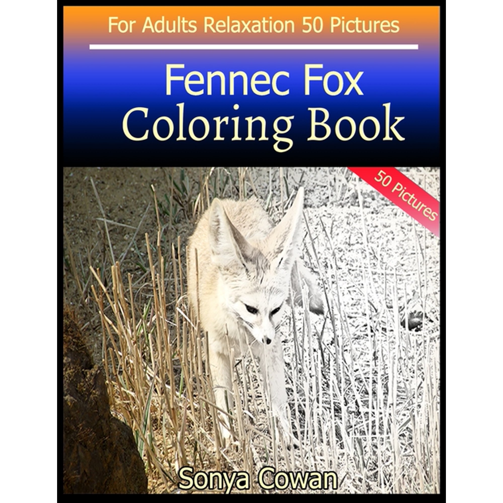 Fennec Coloring