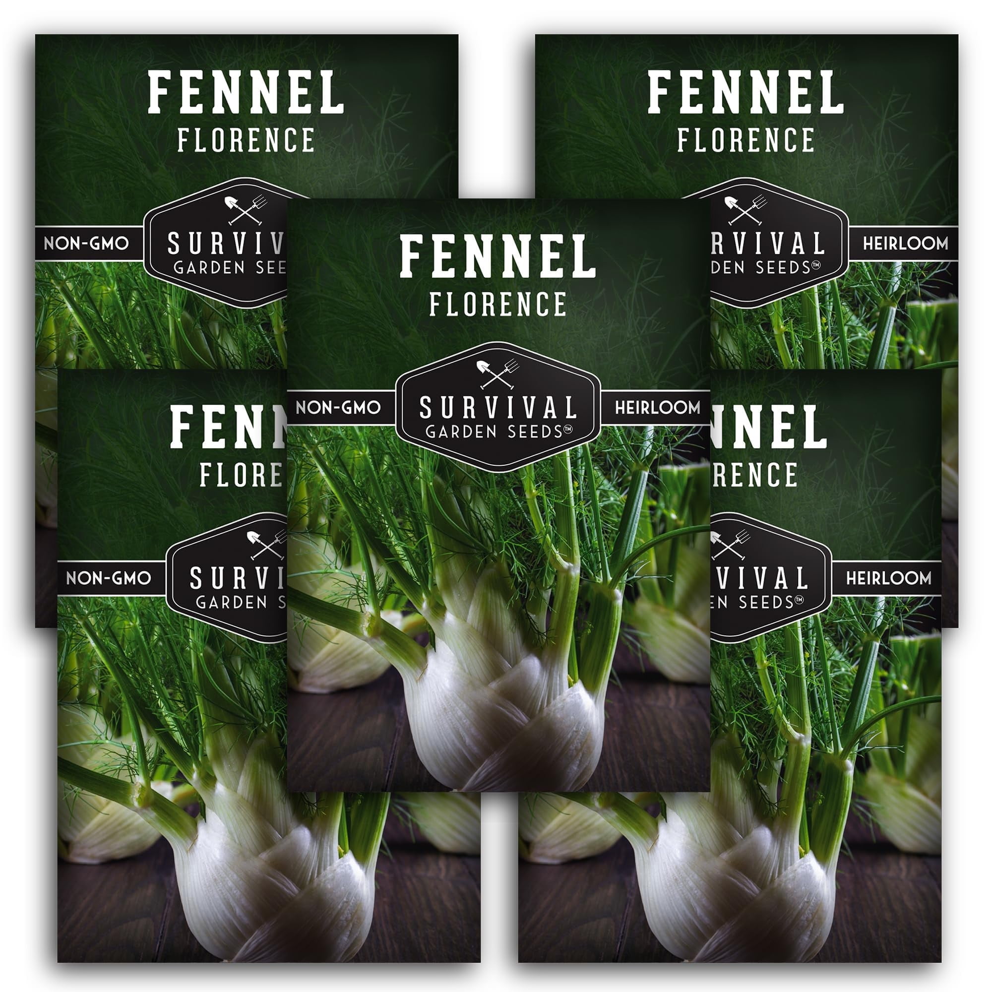 Fennel Seeds - 5 pack - Non-GMO Heirloom Full Sun Perennial Vegetable ...