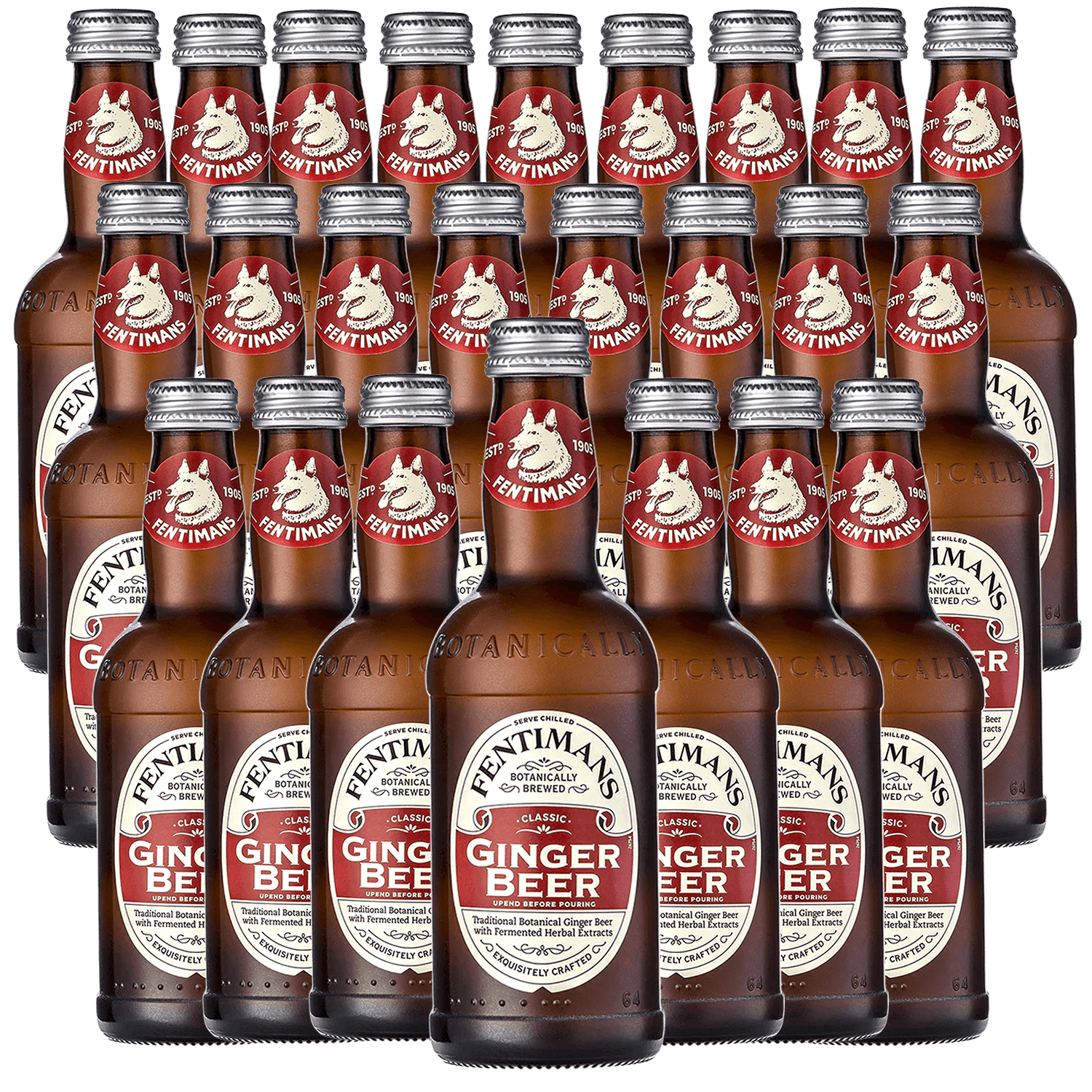 Fentimans Botanically Brewed Ginger Beer Sparkling Soda, 24 Pack, 9.3 ...