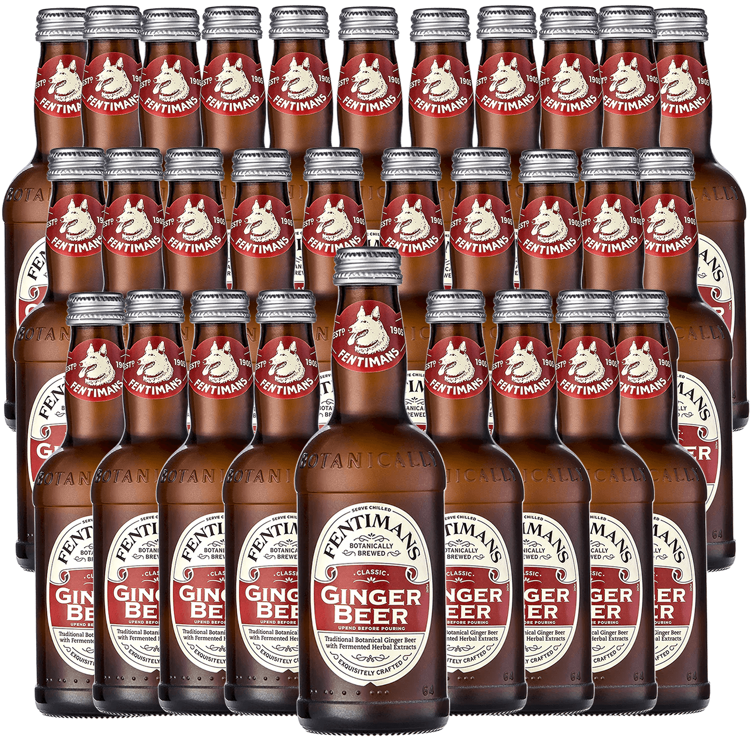 Fentimans Botanically Brewed Ginger Beer Sparkling Soda, 30 Pack, 9.3 ...