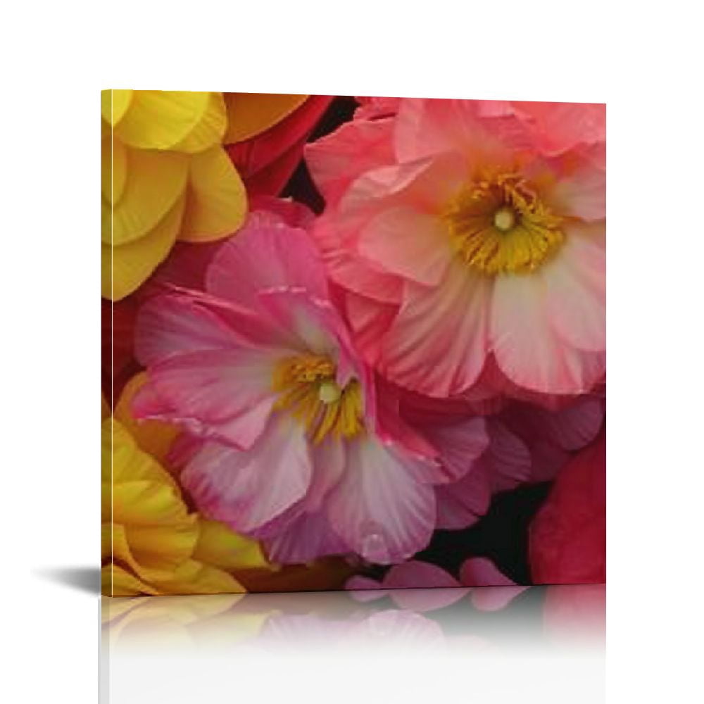 Fenyluxe Flowers Wall Decor for Living Room, High-Definition Canvas ...