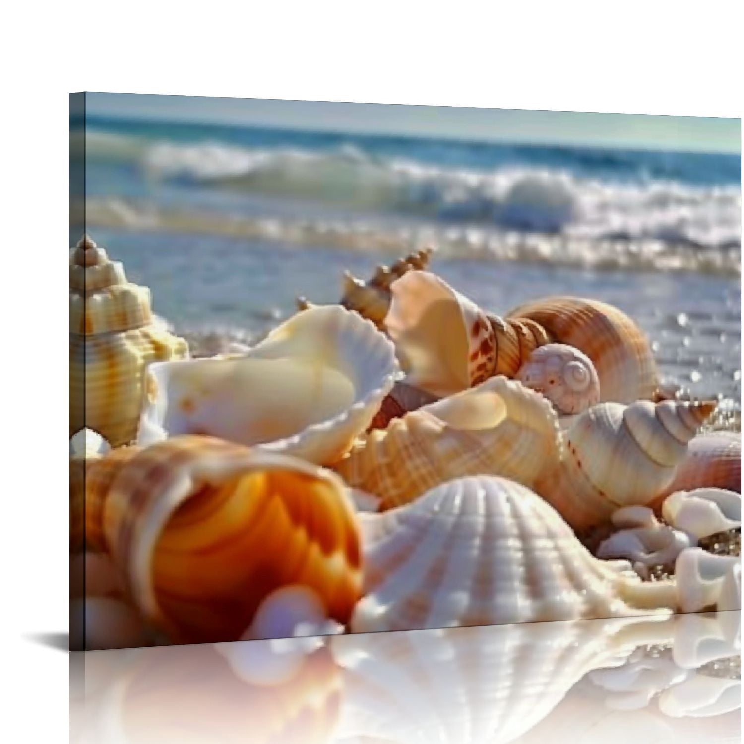 Fenyluxe Sea Shells Art Modern Canvas Prints Wall Decor for Bathroom ...