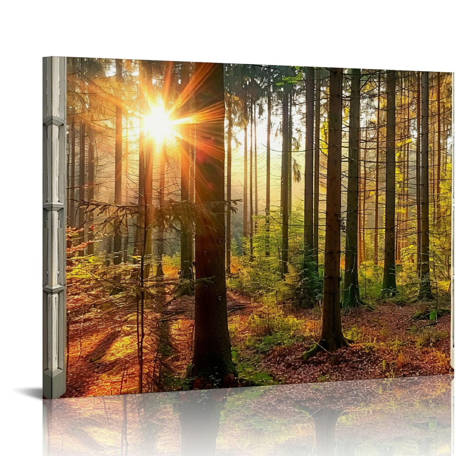 Fenyluxe Trees Sun Forest Canvas Ready To Hang Wall Decor 20x16in ...
