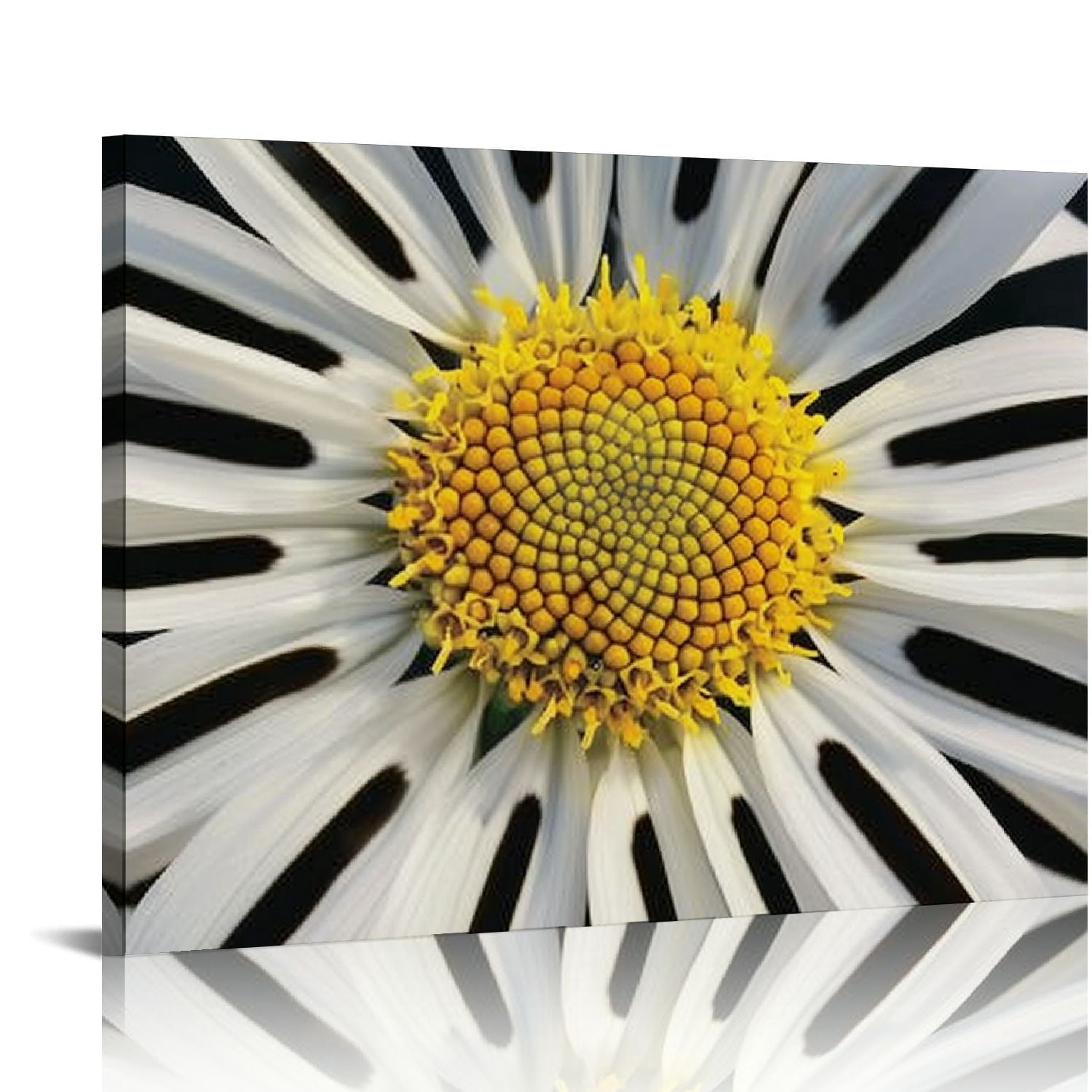 Fenyluxe Wall Decor For Bedroom Fashion Kitchen Wall Pictures Fibonacci ...