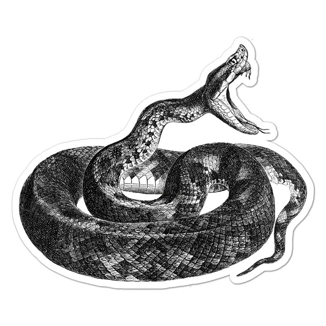 Fer De Lance Snake Sticker Indoor Outdoor Phone Decal Water Bottle ...