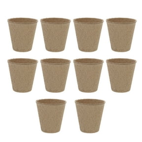 Cardboard Plant Pots