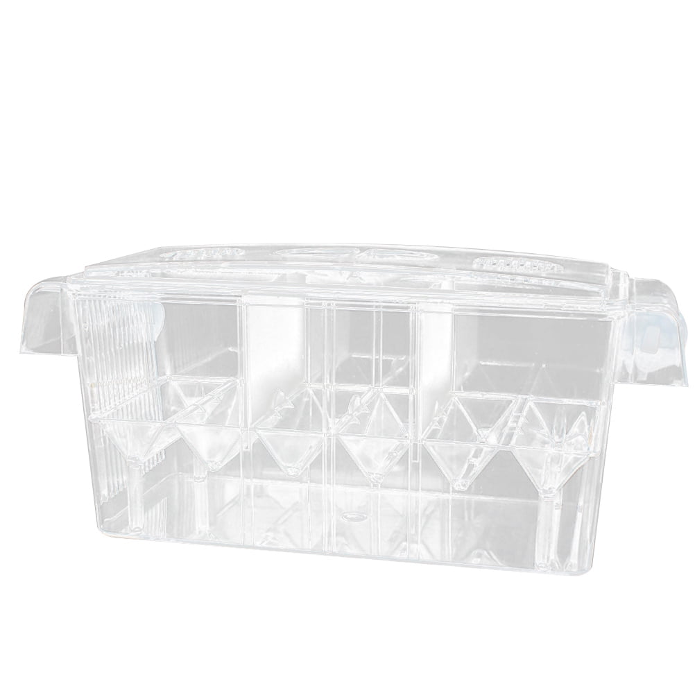 Ferencaa Suction Cup Transparent Acrylic Fish Breeding Tank Isolation ...