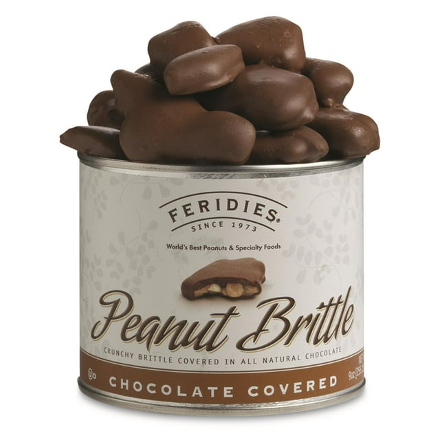Feridies 9 oz. Chocolate Covered Peanut Brittle - Walmart.com
