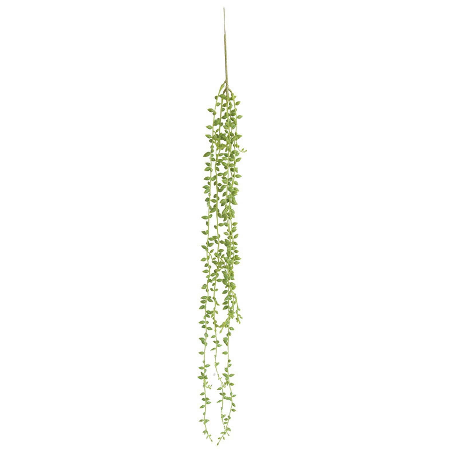Ferjadq Artificial Hanging String of Pearls Greenery Decor for Wall ...
