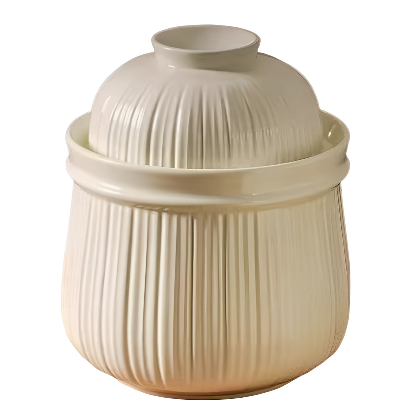 Fermentation pot ceramic pickle pot sauerkraut pot, traditional ...
