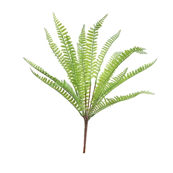 Fern Bouquet Bundle for Wedding and Home Decoration - Elegant Fern ...