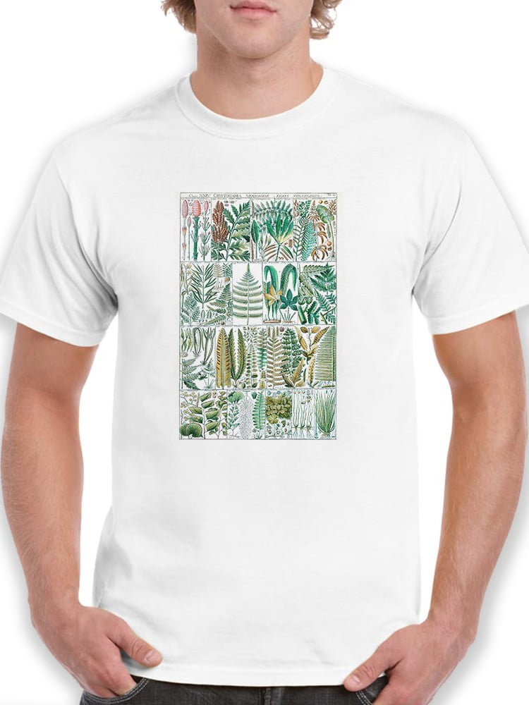 Fern Chart. T-Shirt Men -Vision Studio Designs, Male 4X-Large - Walmart.com
