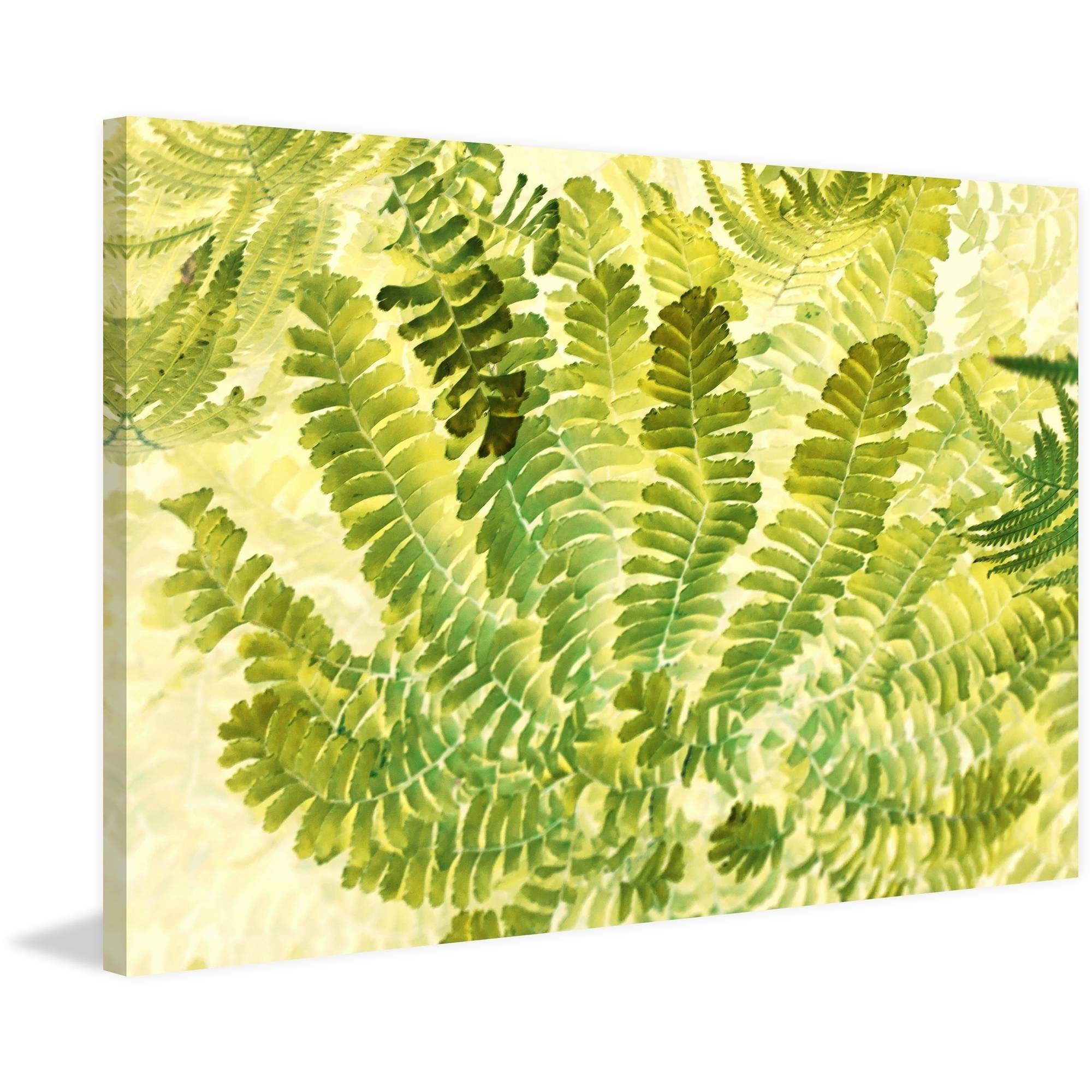 "Fern Fantasy I" Painting Print on Wrapped Canvas - Walmart.com