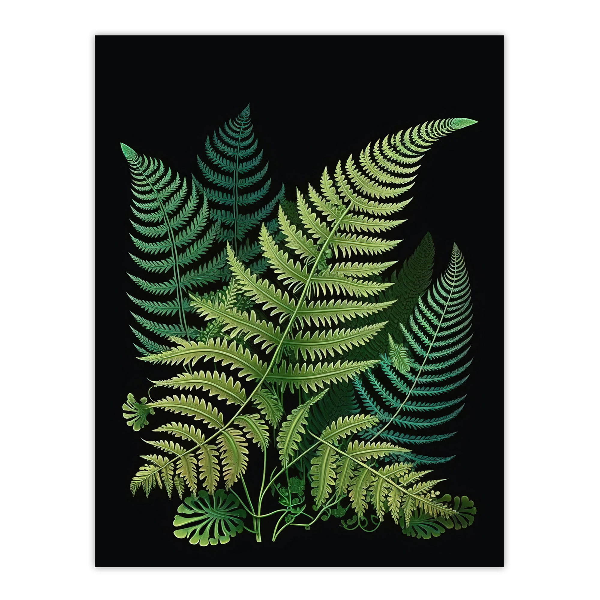 Fern Fronds Botanical Nature Elegant Foliage Artwork Green on Black ...