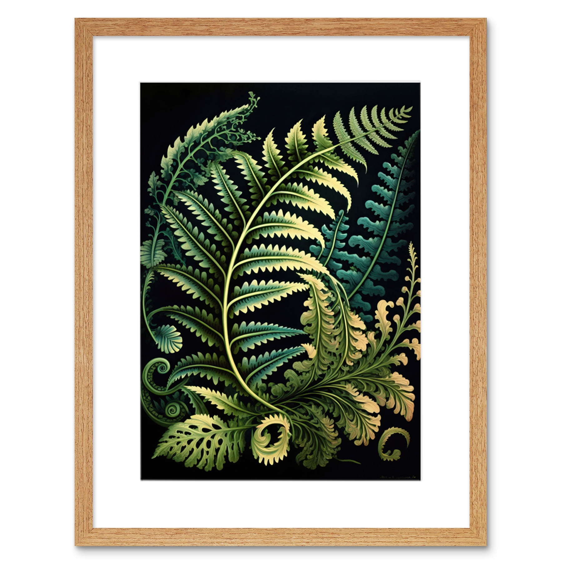 Fern Fronds Ernst Haeckel Style Leaf Illustration Artwork Framed Wall ...