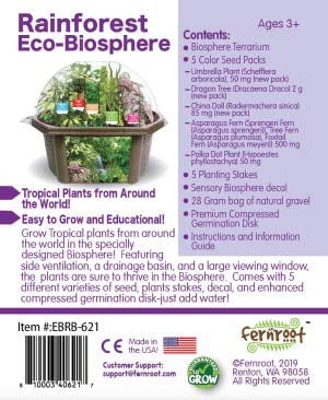 Silver Circle Products SRCEBRB621 Rainforest Biosphere Nurture Plant ...