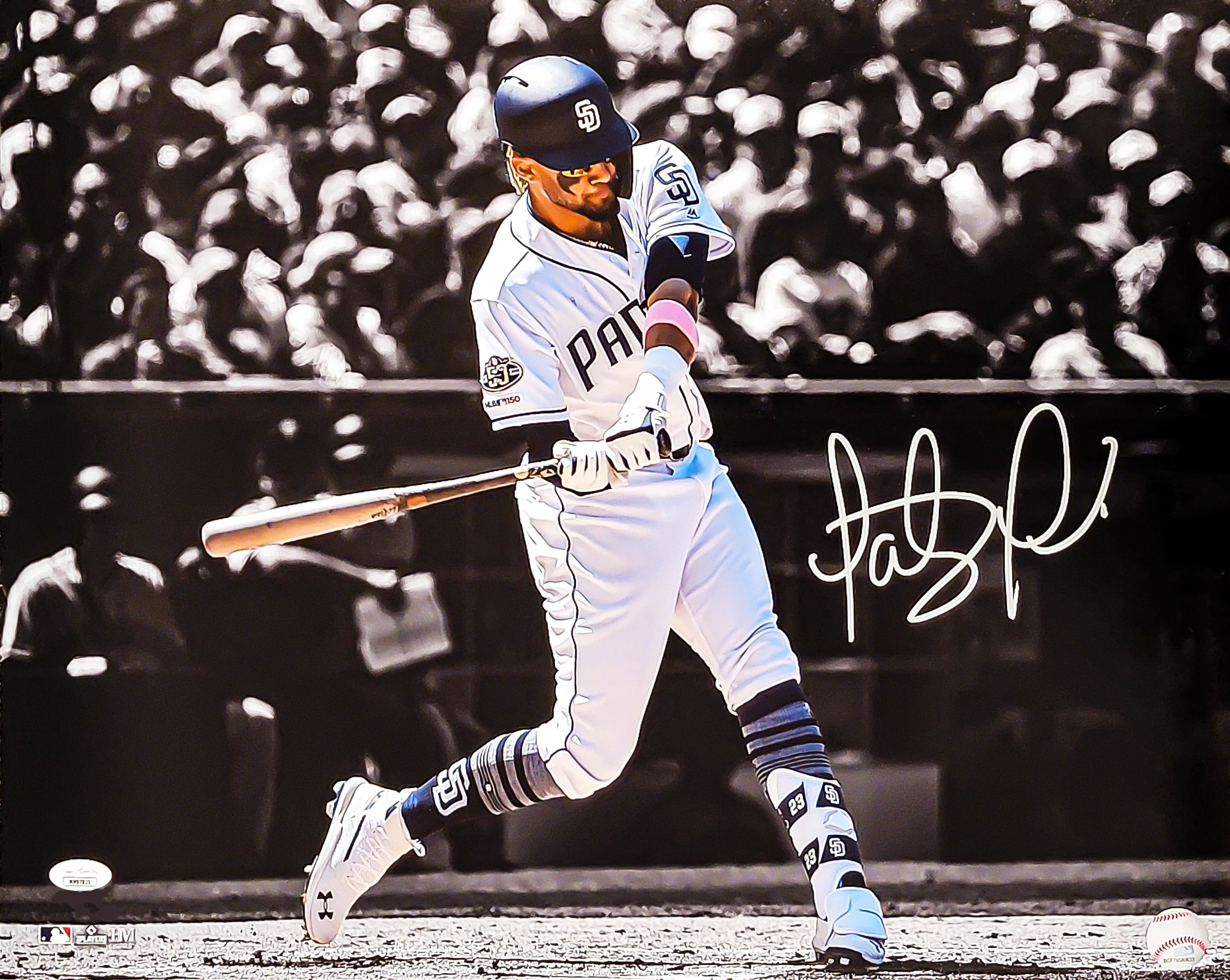 Fernando Tatis Jr. Autographed 16x20 Photo San Diego Padres Spotlight ...