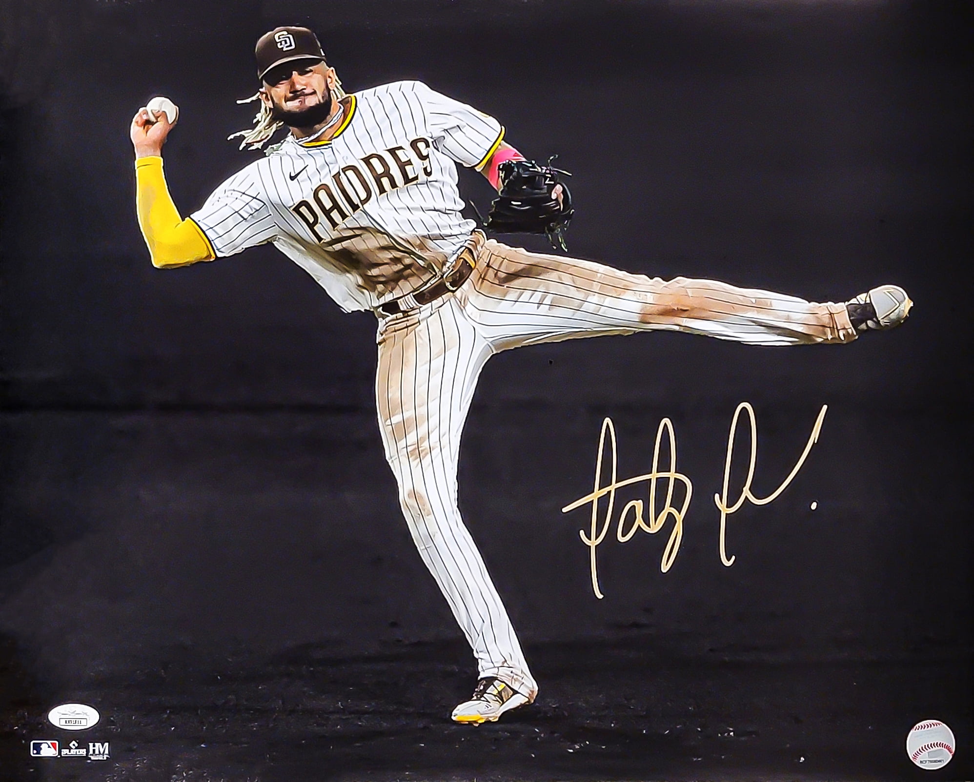 Fernando Tatis Jr. Autographed 16x20 Photo San Diego Padres Spotlight ...