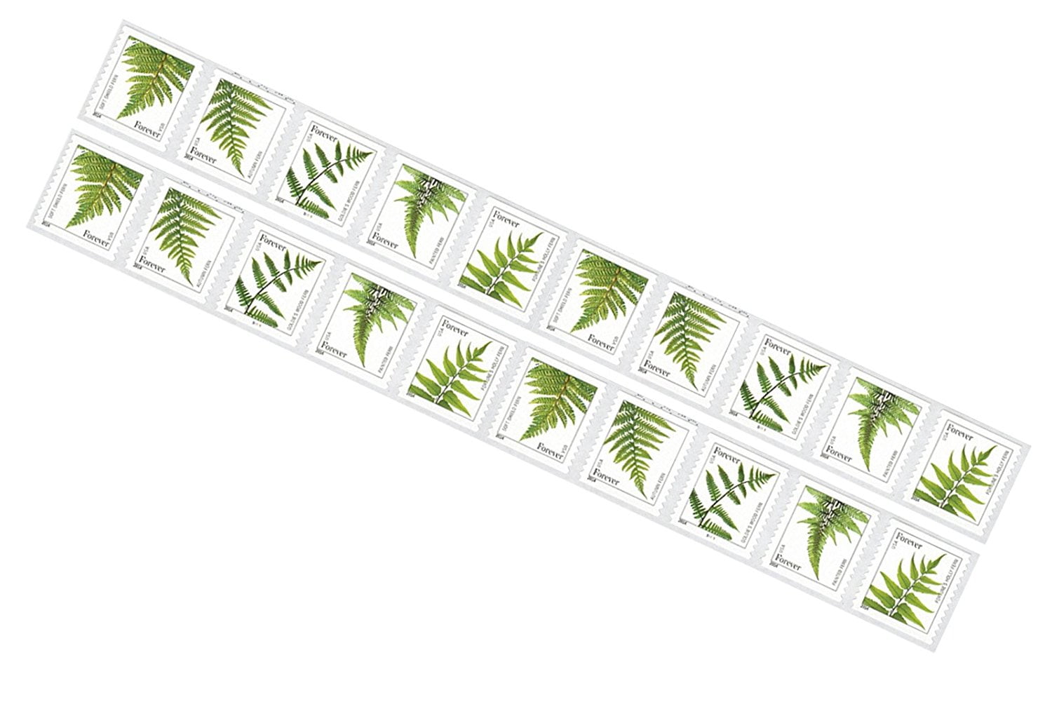 USPS First-Class Forever Ferns Postal Stamps - 2 Strips of 10 Fern ...