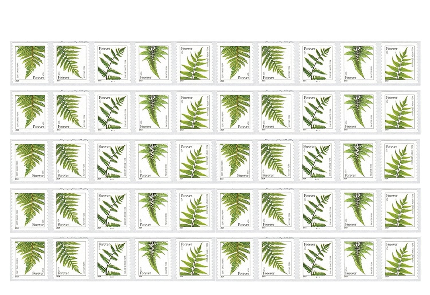 USPS Forever First Class Postage Stamps - Ferns Design, 5 Strips of 10 ...