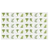 USPS Forever First Class Postage Stamps - Ferns Design, 5 Strips of 10 ...