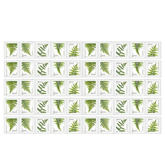 USPS Forever First Class Postage Stamps - Ferns Design, 5 Strips of 10 ...