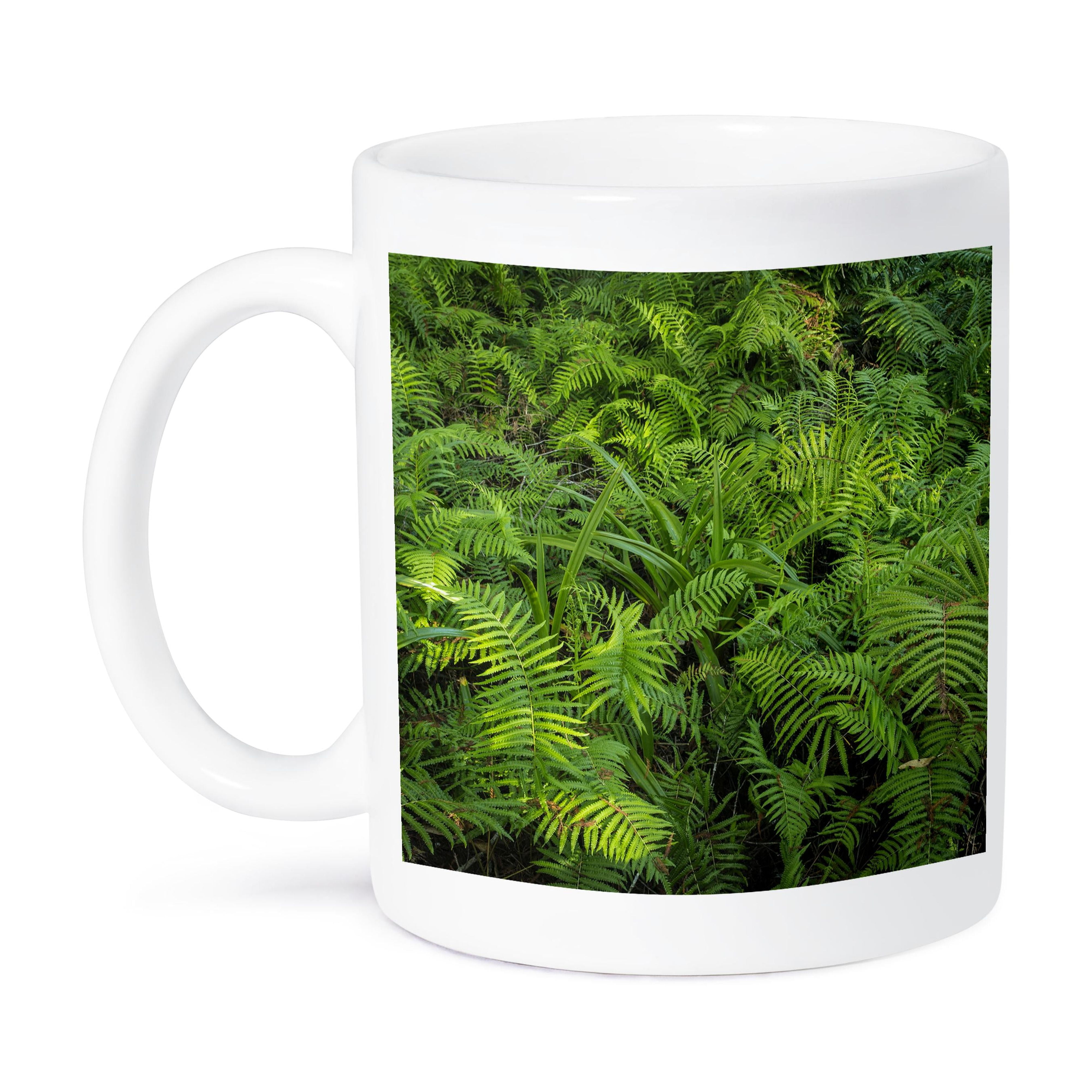 Ferns Of Corkscrew Swamp Sanctuary, Florida, 15oz Mug - Walmart.com