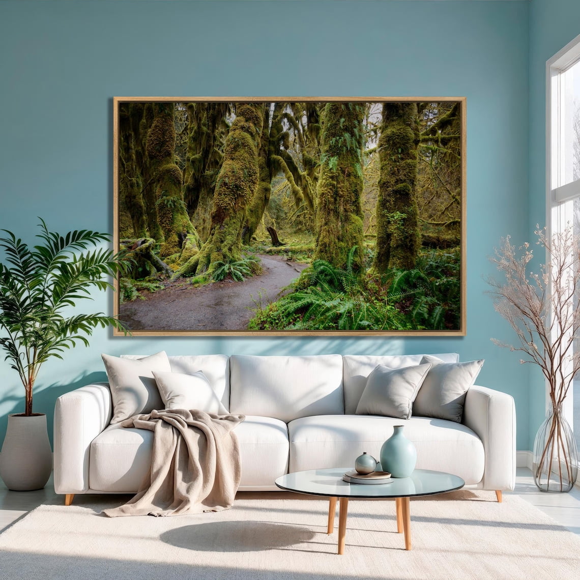 Ferns And Trail In Hoh Rainforest Wall Art Print, Unusual Wall Decor ...