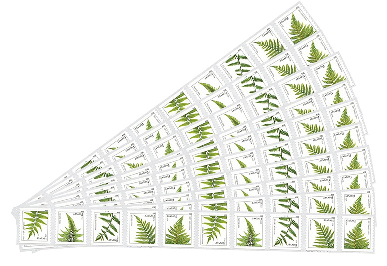 Ferns USPS Forever Postage Stamp 100 US First Class Fern Plants Wedding ...