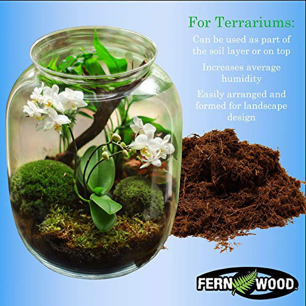 Fernwood Orchid Growing Medium and Reptile Substrate- Natural, Organic ...