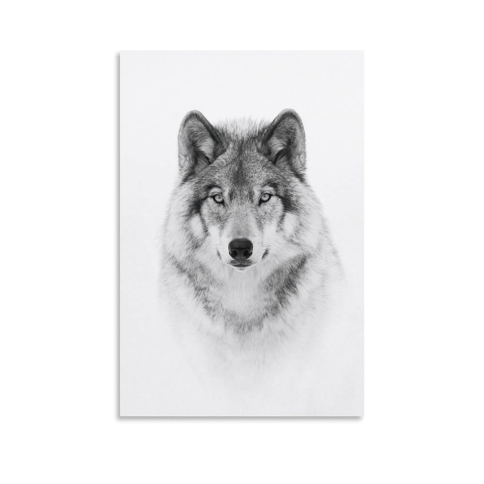 Ferocity Wolf Black And White Animal Poster Wall Art Poster Scroll ...