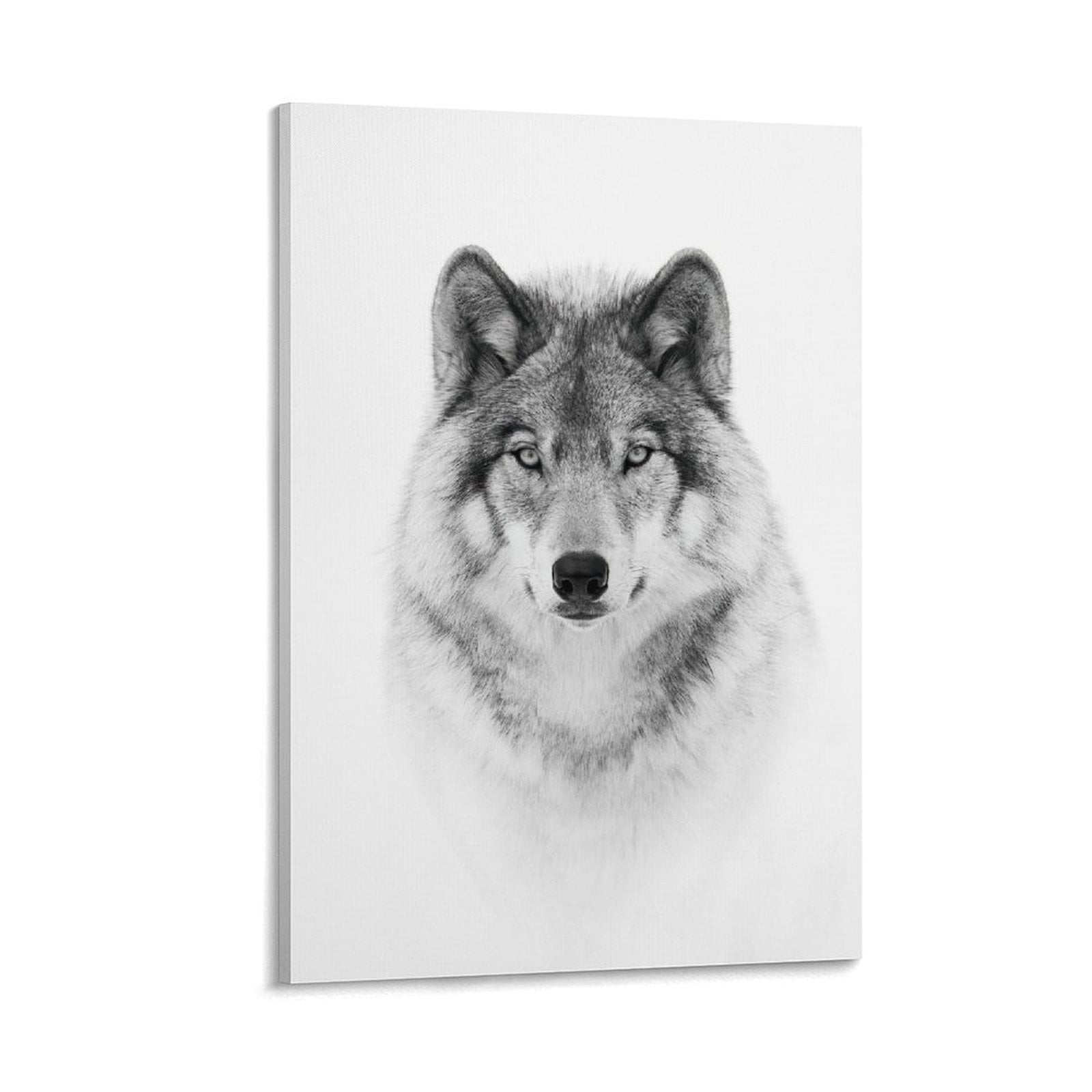 Ferocity Wolf Black And White Animal Poster Artworks Picture Print ...