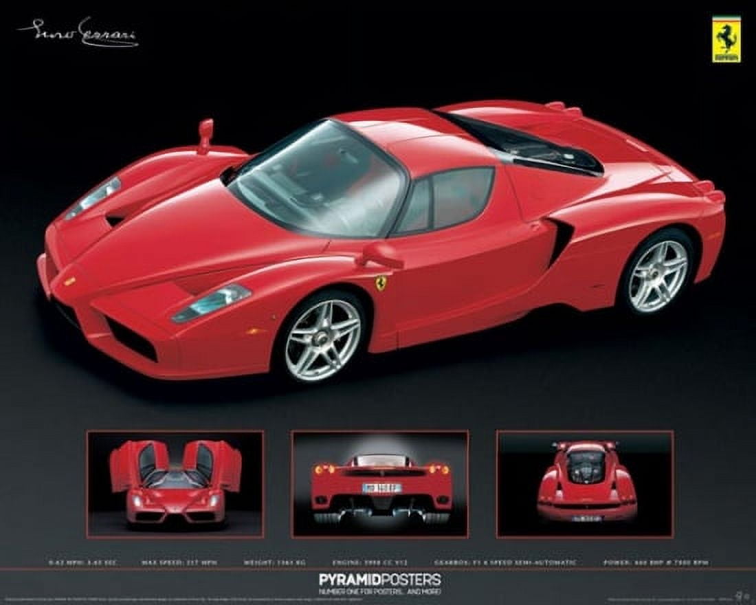 Ferrari - Enzo Poster (20 x 16) - Walmart.com