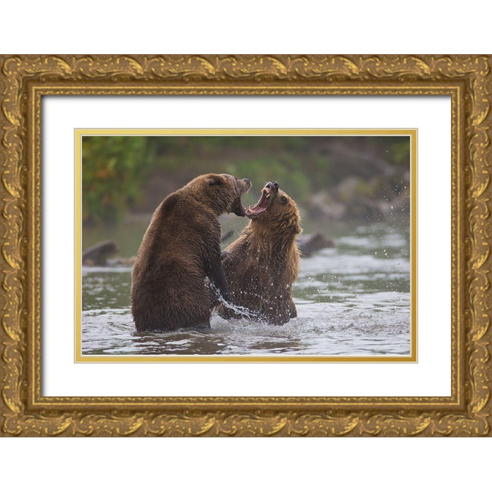 Ferraro, Valerio 32x23 Gold Ornate Wood Framed with Double Matting ...