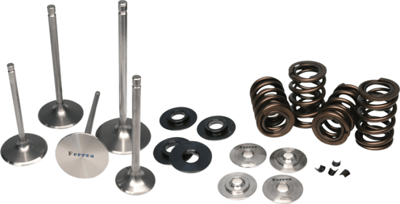 Ferrea Toyota Supra 3.0L B58 Turbo Spring Kit - Walmart.com