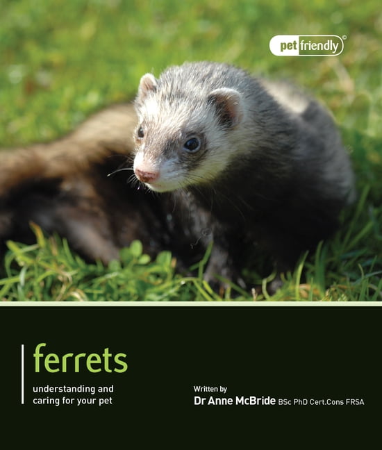 Ferrets - Pet Friendly - Walmart.com