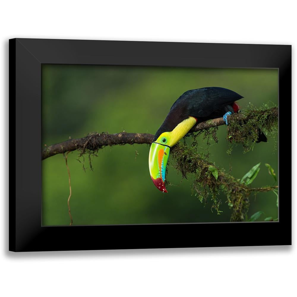 Ferretto, Fabio 24x17 Black Modern Framed Museum Art Print Titled - The ...