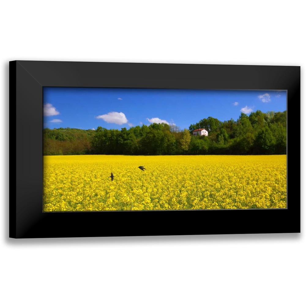 Ferrua, Fulvio 18x11 Black Modern Framed Museum Art Print Titled - Volo ...