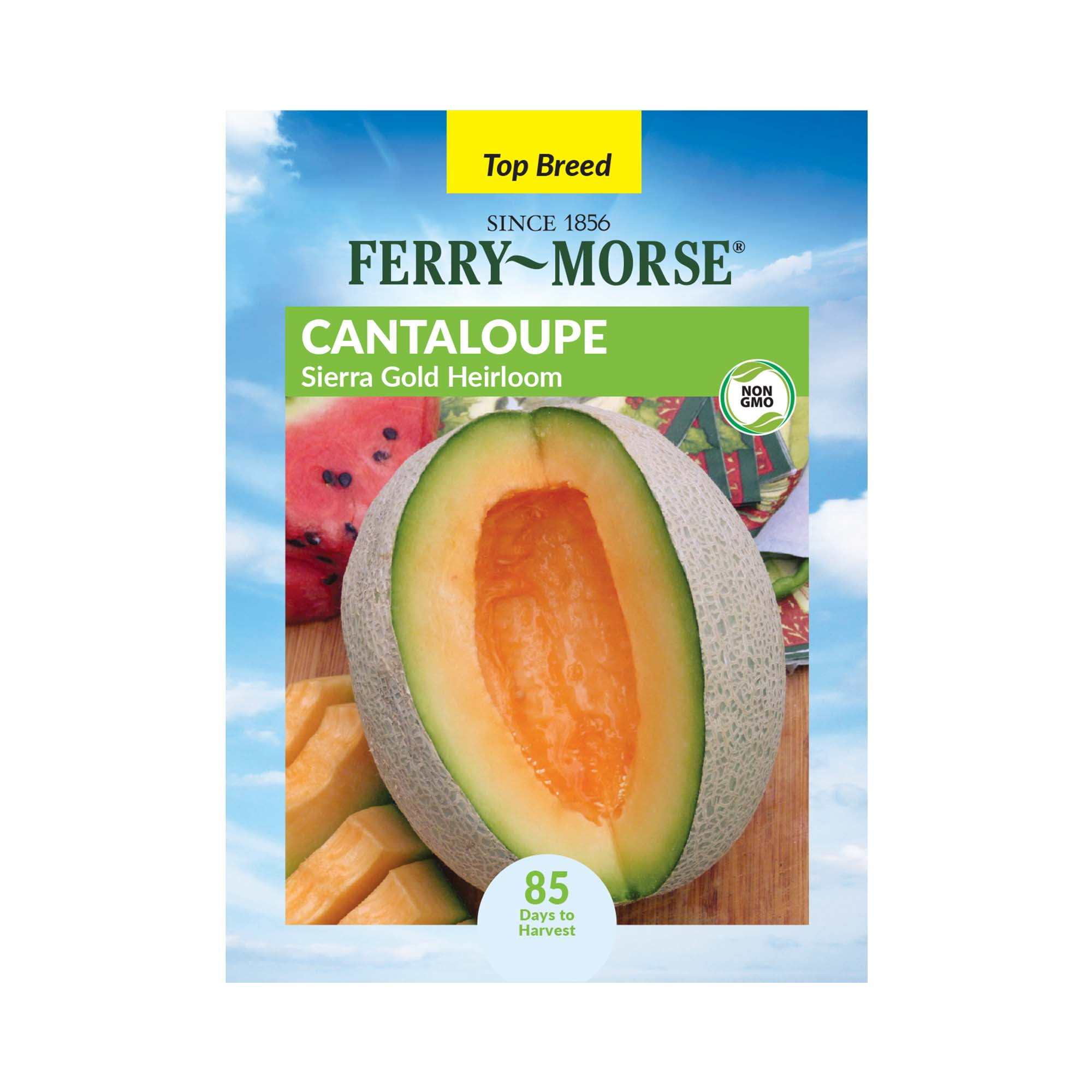 Ferry-Morse 1.2G Cantaloupe Sierra Gold Annual Fruit Seeds, Full Sun ...