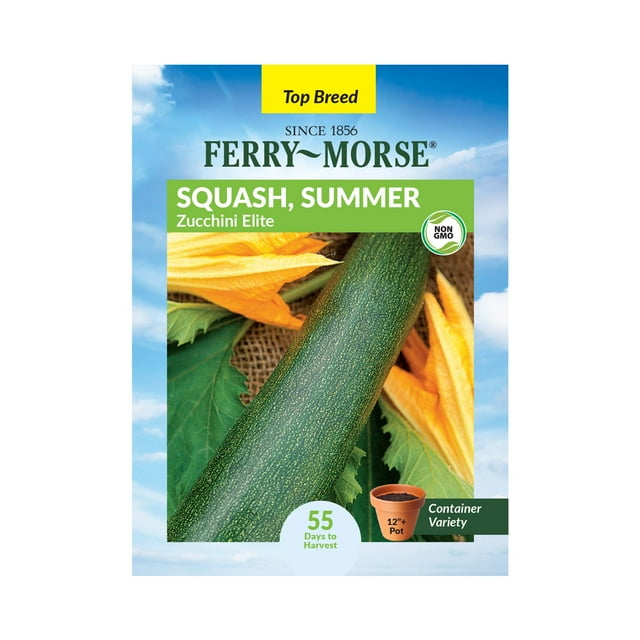 Ferry-Morse 1.35G Squash Zucchini Elite Hybrid Annual Vegetable Seeds ...