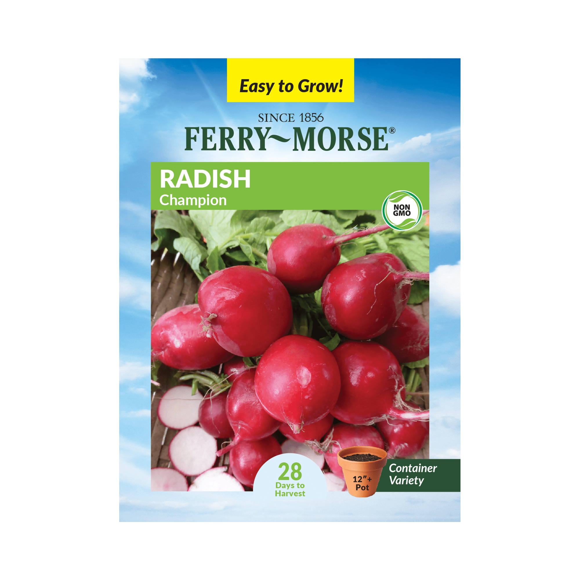 Ferry-Morse 1.3G Radish Champion Annual Vegetable Seeds, Full Sun ...