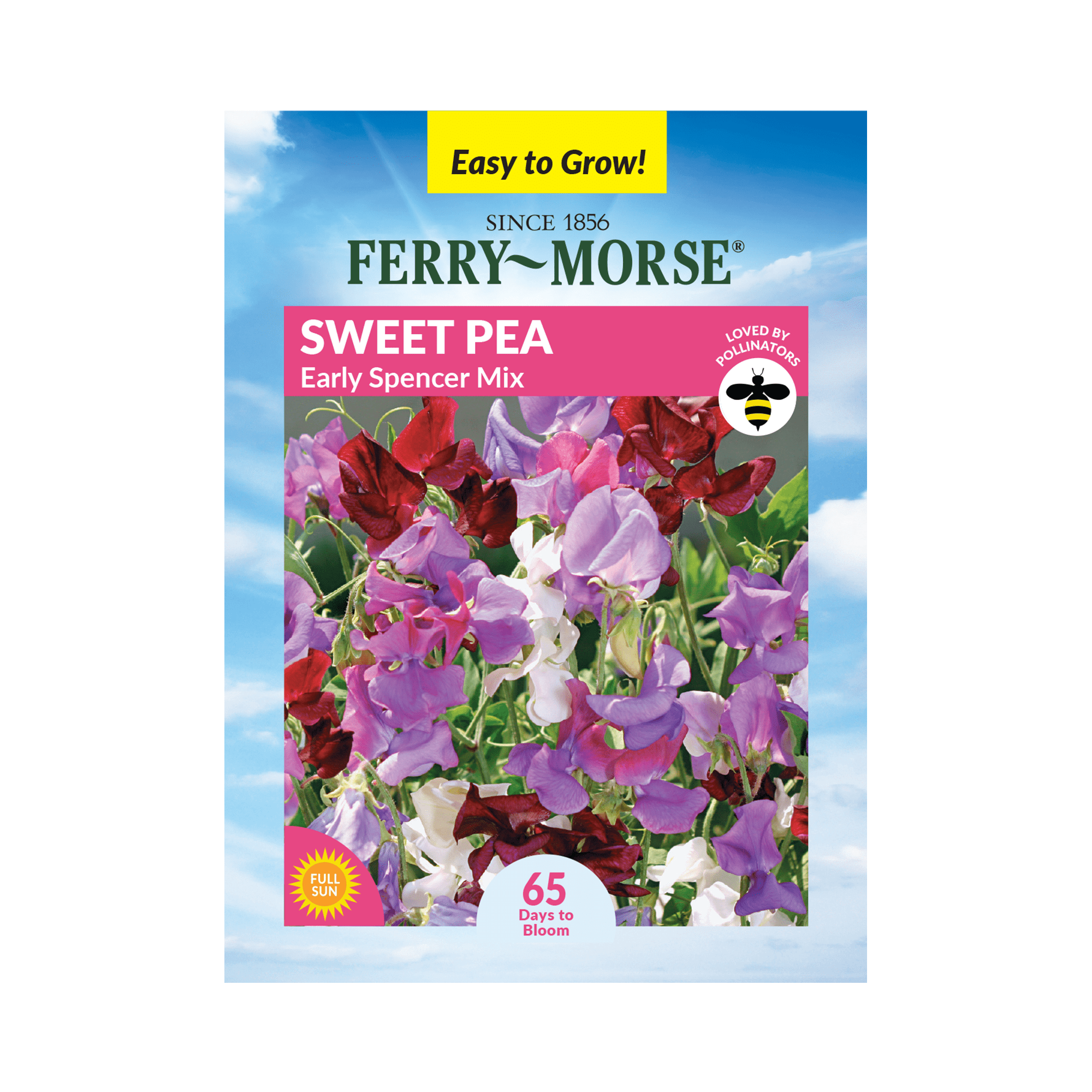 Ferry-Morse 1.4G Sweet Pea Early Spencer Mix Annual Flower Seeds, Full ...