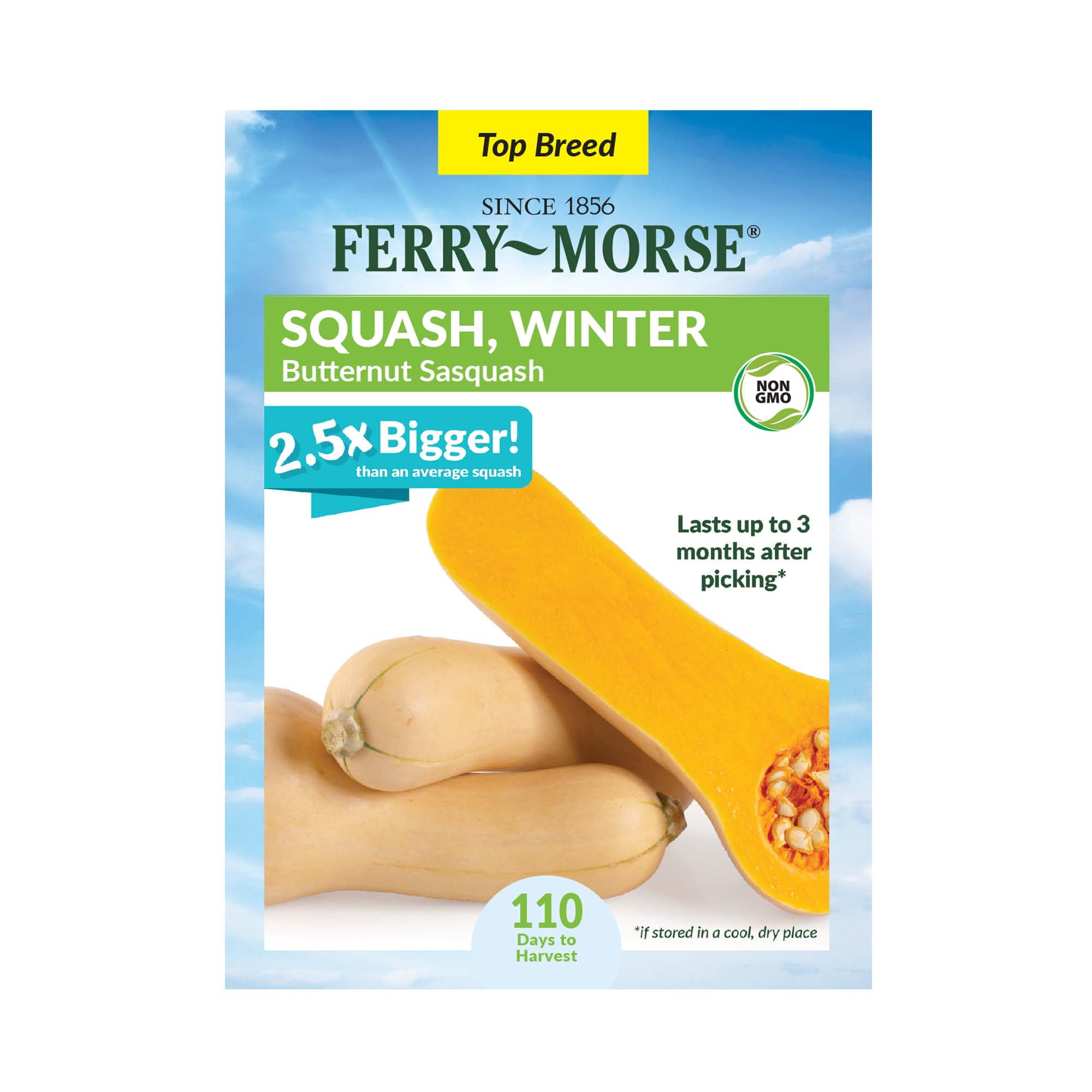 Ferry-Morse 1.5G Squash Butternut Sasquatch F1 Annual Vegetable Seeds ...